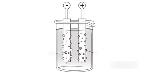 Diagram Of Electrolysis Quizlet