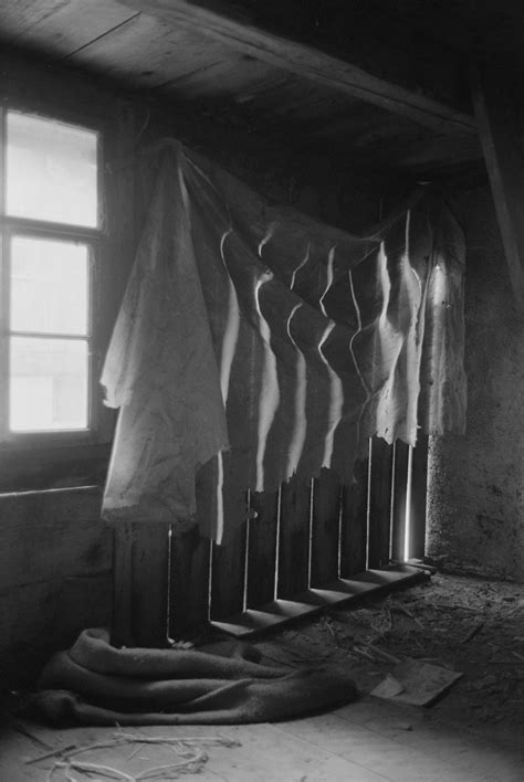 Maurin Bisig Projects