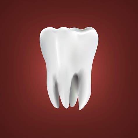 Premium Vector 3d Tooth Design And 3d Teeth Design