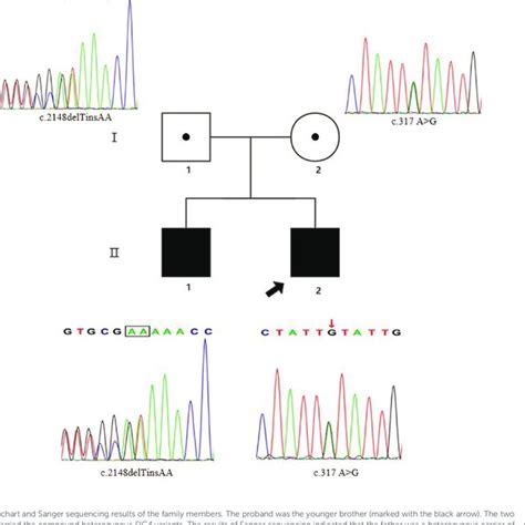 Genomic Findings And Variants Interpretation Download Scientific Diagram
