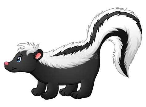 Skunk Stock Illustrations 3645 Skunk Stock Illustrations Vectors