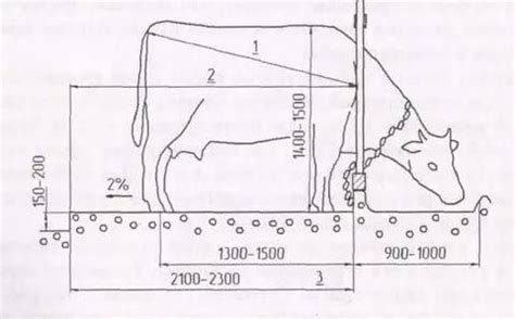 Pin On House Construction Plan In 2024 Cattle Barn Designs Cow Shed