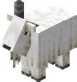 Goat Minecraft Wiki