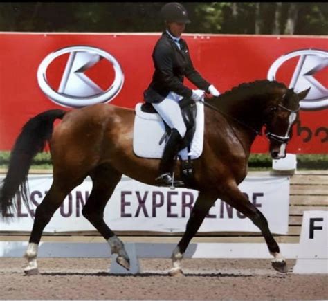 Maya Markowski Equest Dressage
