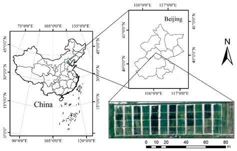 Remote Sensing Free Full Text Estimation Of Winter Wheat Above Ground Biomass Using Unmanned