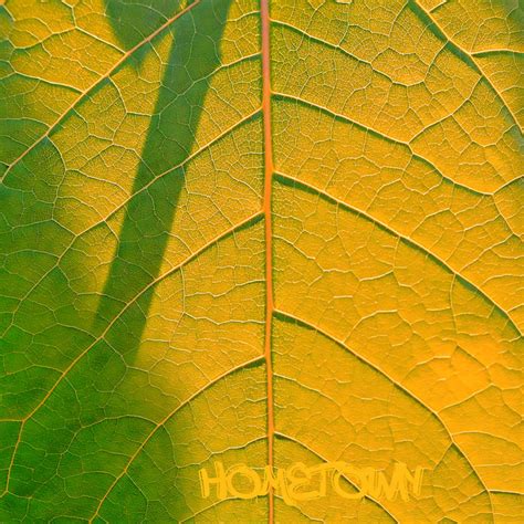 Hometown Warner Allison