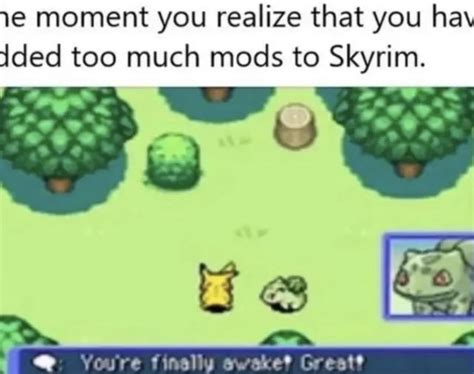 Tell Me Im Not The Only One Who Found Out The Hard Way R Skyrimmemes