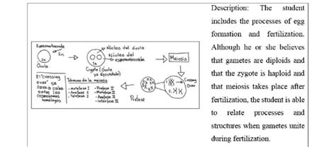 Example Of A Level 3 Graphical And Symbolic Representation Topic C