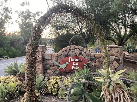 Forecast For The Elfin Forest Real Estate Market 2024 📈👍