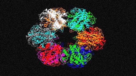 A Hidden Code How Synonymous Codons Shape Protein Folding And Function