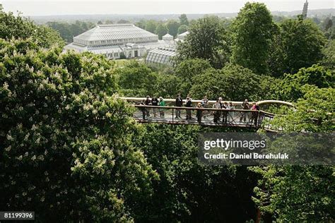 Kew Gardens Launches Its New Treetop Walkway Photos And Premium High