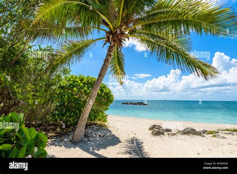 Where Is Paradise Beach Park Paradise Beach Park Sbypzj