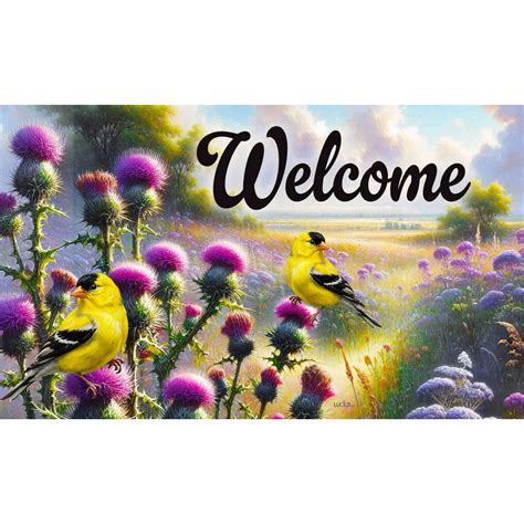 Tapis Décoratifs 30 X 18 Pour Printemps étéwelcome Goldfinches