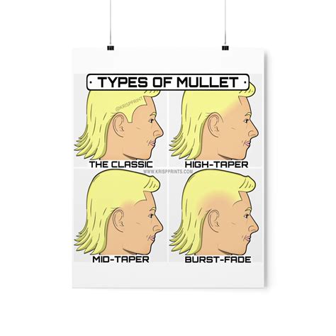 Types Of Mullet Guide Krispprints