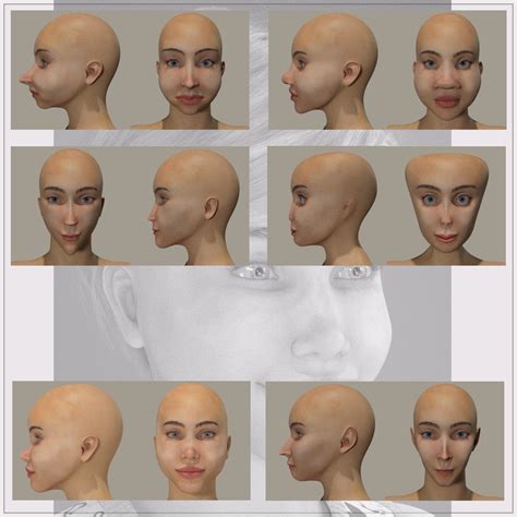 Face Morphs Lafemme 2 Mr