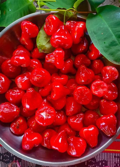 Tingbunga Na Sa Tambis The Watery Rose Apple And Why We Love It