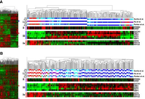 Comparison Of Primary Breast Tumour Gene Expression Profiles Generated