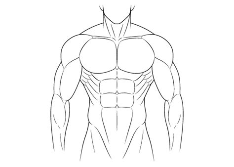 Methods To Draw Anime Muscular Male Physique Step By Step Artshow24