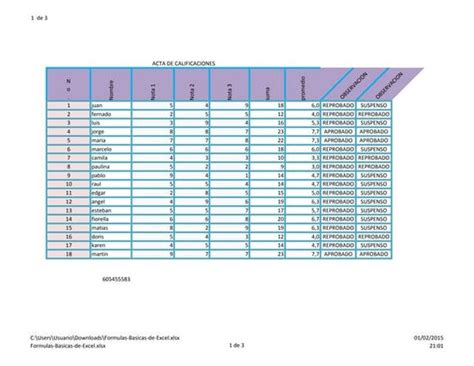 Formulas Basicas De Excelpdf5