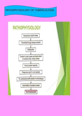Tuberculosis Ppt