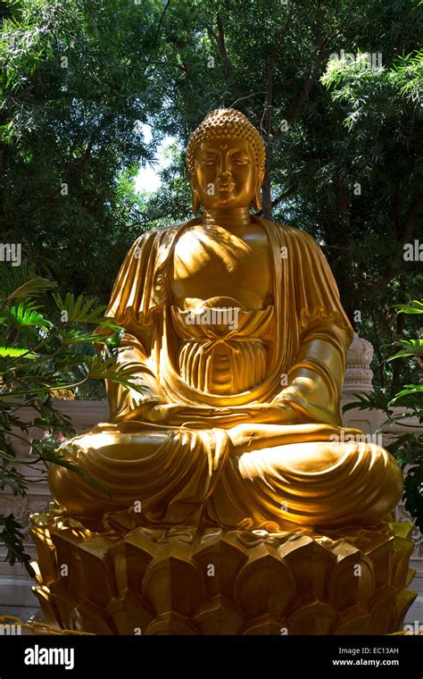 Statue Of Sakyamuni Buddha Sakyamuni Buddha Buddha Buddhist Temple