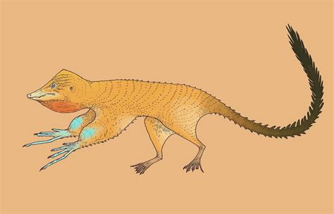Speculative Pterosaur Ancestor By C M Kosemen Rspeculativeevolution