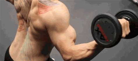 完美的背肌訓練清單 每日頭條