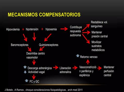Shock Hipovolemico Pptx Medical Health