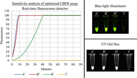 Sensitivity Analysis Of Optimized Cbfr Assay Optimization Of The Cbfr