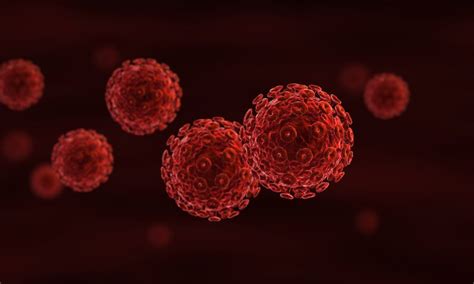 When Should You Get Tested For Stds After Sex Broadgate Gp