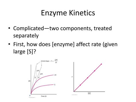 Ppt Enzyme Kinetics Powerpoint Presentation Free Download Id 2045841