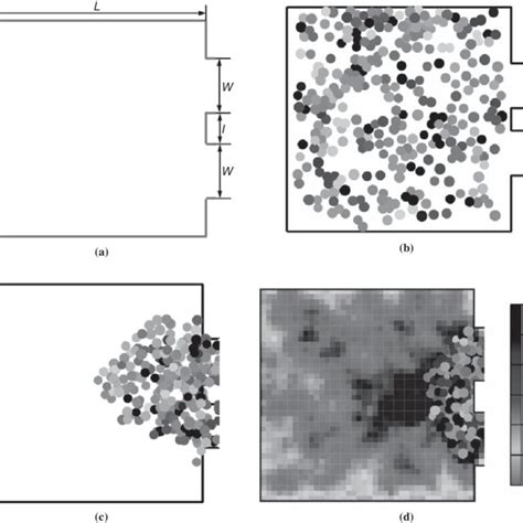 Pedestrian Evacuation Simulation A Simulation Scenario B Initial Download Scientific