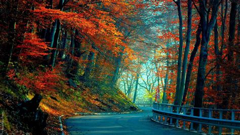 Background Images Hd 1080p Nature