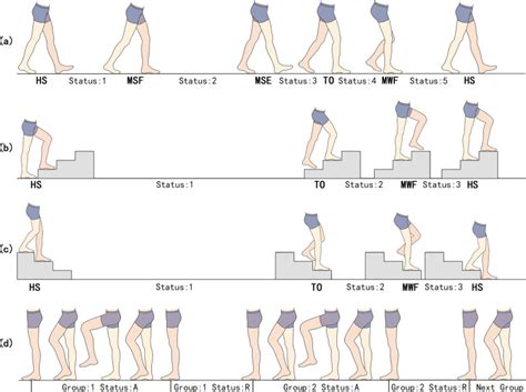 Surface Electromyogram Kinematic And Kinetic Dataset Of Lower Limb Walking For Movement Intent