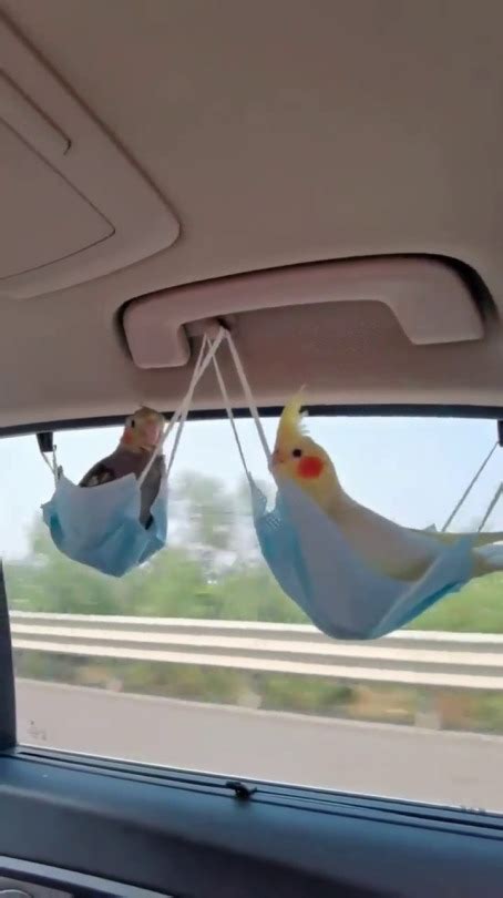 Modern Problem Required Modern Solutions Tumbex