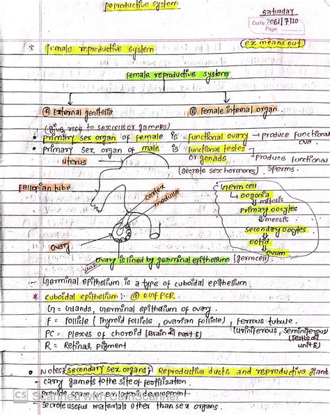 Mission Cee Mission Cee Added A New Photo