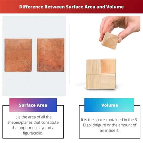 Surface Area Vs Volume Difference And Comparison