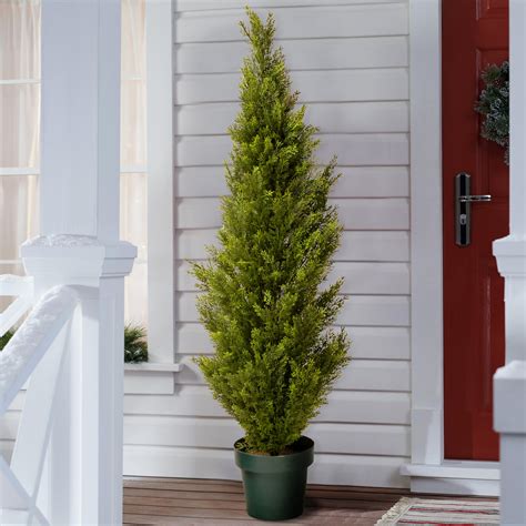 National Tree Company 53 Faux Cedar Topiary In Pot And Reviews