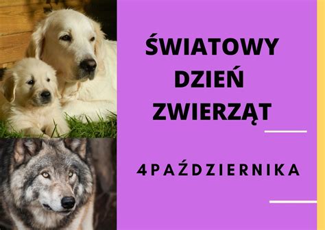 Światowy Dzień Zwierząt Szkoła Podstawowa W Czarnymlesie