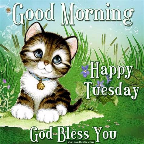 Good Morning Wishes On Tuesday Pictures Images Page 4
