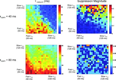 After Suppressive Effects Depend On The Time Constant Of The Opsin