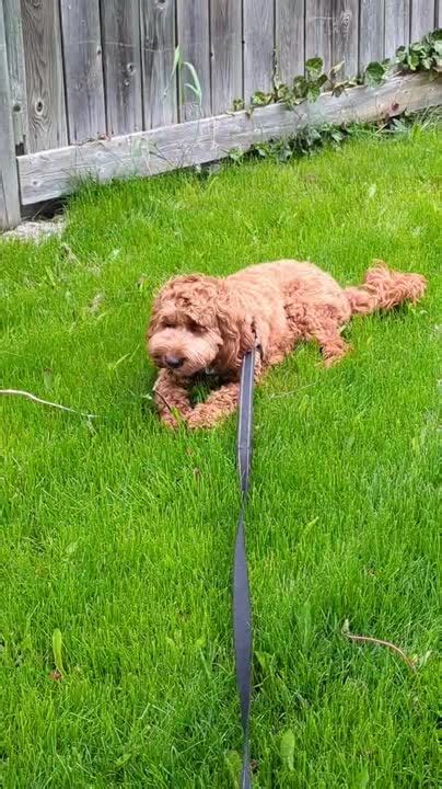 Nia Mccash On Linkedin Know24 Know24 20 Comments