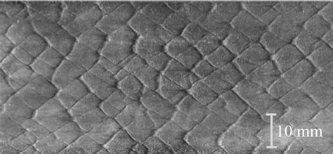 Detonation Cell Size Measurements For Hydrogenoxygen Mixture At