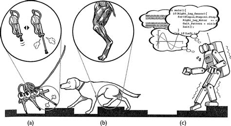 Morphological Computation 61 P 97 Figure 41 Download