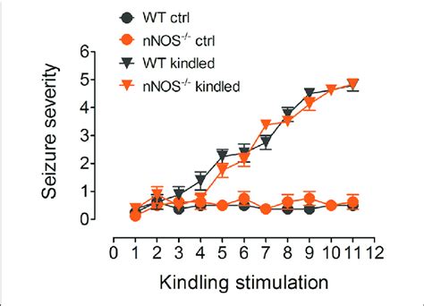 Ptz Induces Kindling In Nnos − − Mice And Their Wildtype Littermates Download Scientific