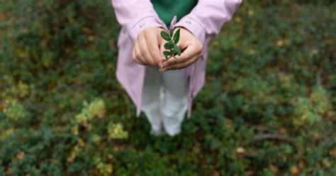 Unlocking Biodiversity With E Dna Metabarcoding University Of Oulu