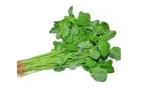 Data Shak Data Spinach 1 Bundle Free Delivery