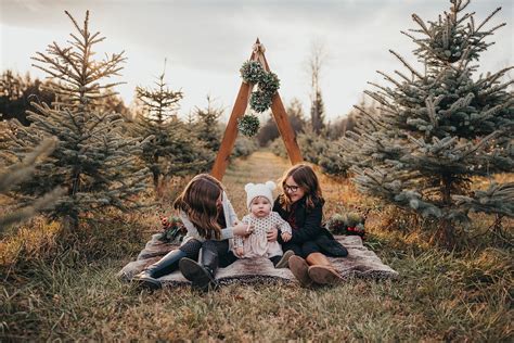 Tree Farm Mini Session What To Wear Christmas Photoshoot Christmas