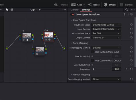 Davinci Wide Gamut What Is It And How To Use In Davinci Resolve