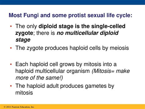 Meiosis And Sexual Life Cycles Ppt Download